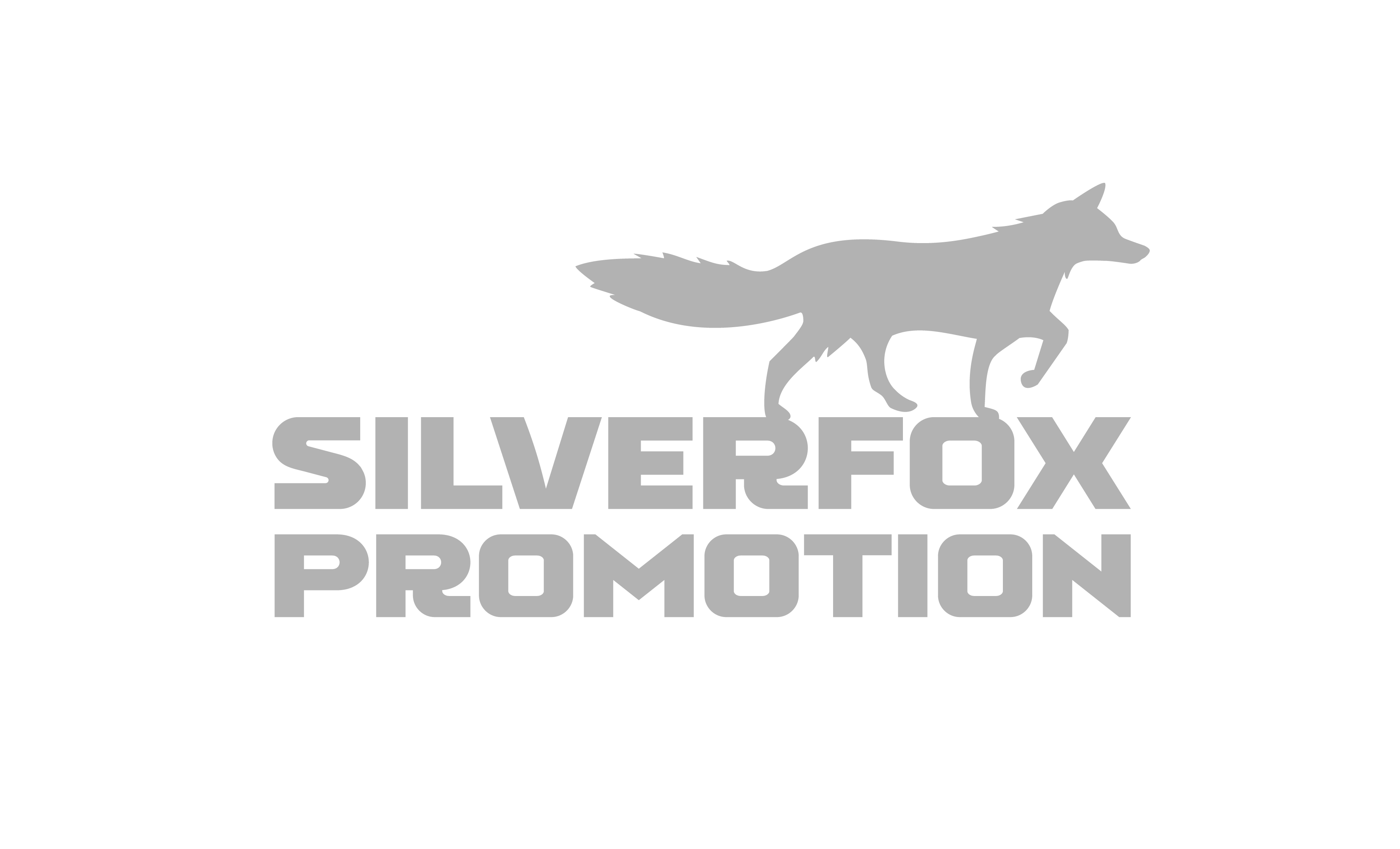 Events - SilverFox Promotion
